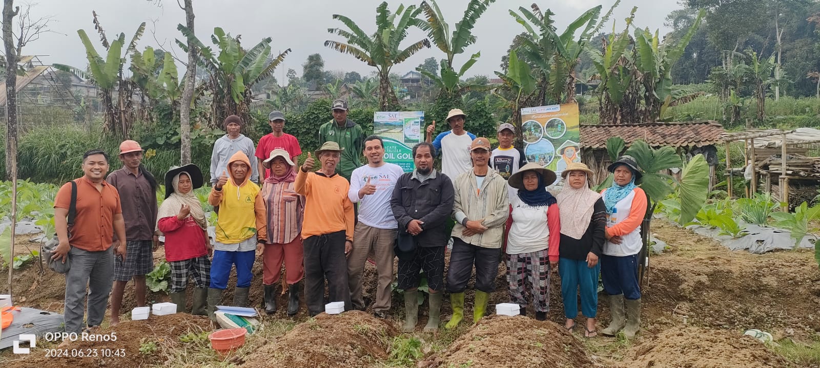 Demplot Pupuk SOIL GOLD Pada Tanaman Tomat – Magelang – Yayasan Padi ...